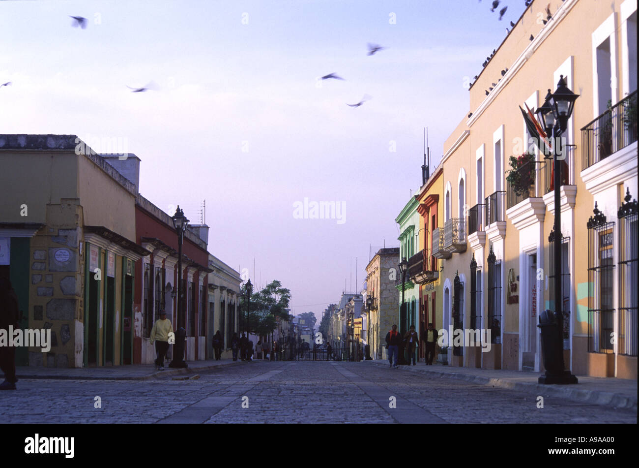 buildings Building yellow bright Sunny Colourful Cultural Oaxaca Mexico ...