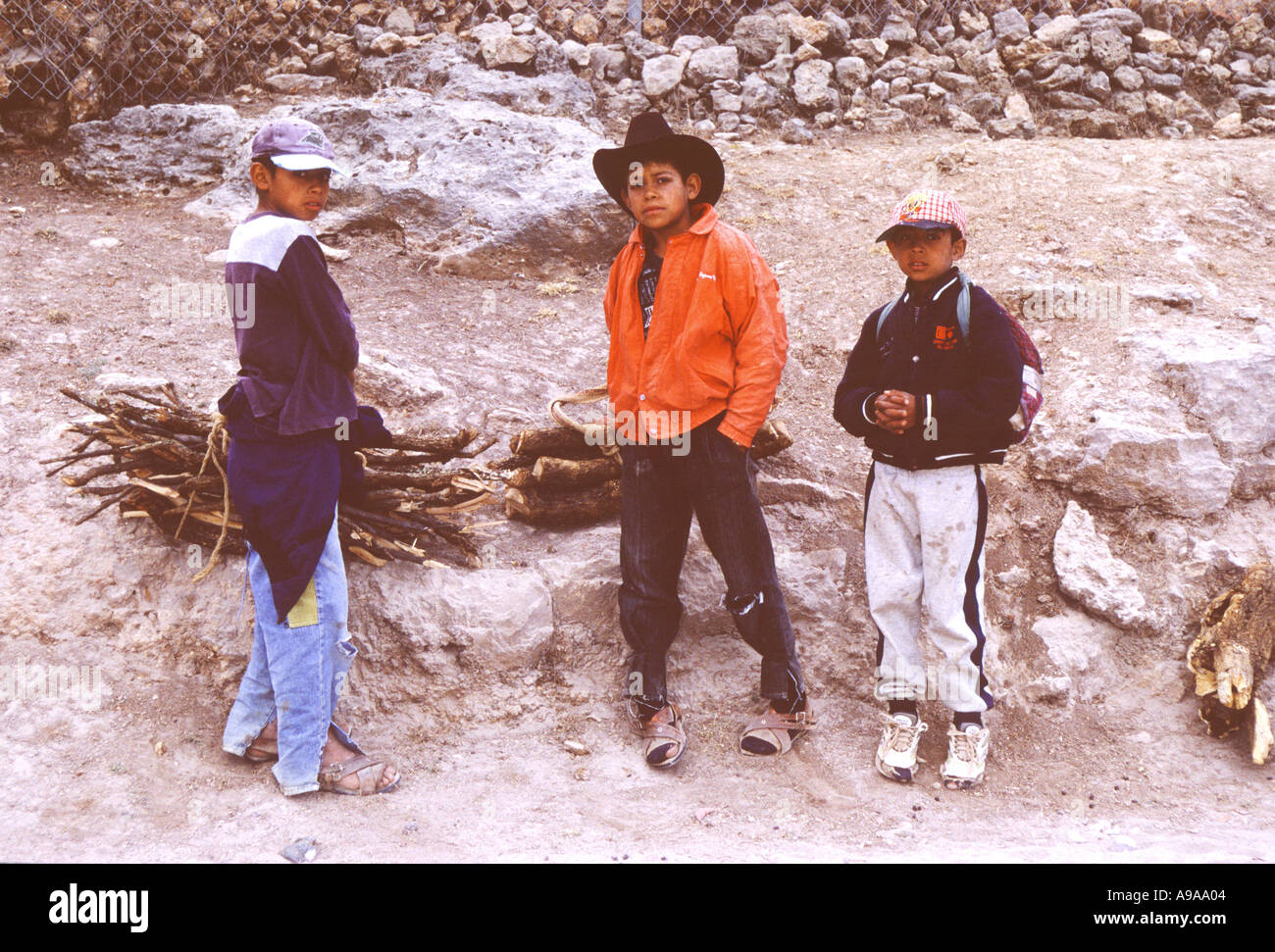 Young Boys Collecting Firewood Oaxaca www galleriesepifanoff com Stock ...