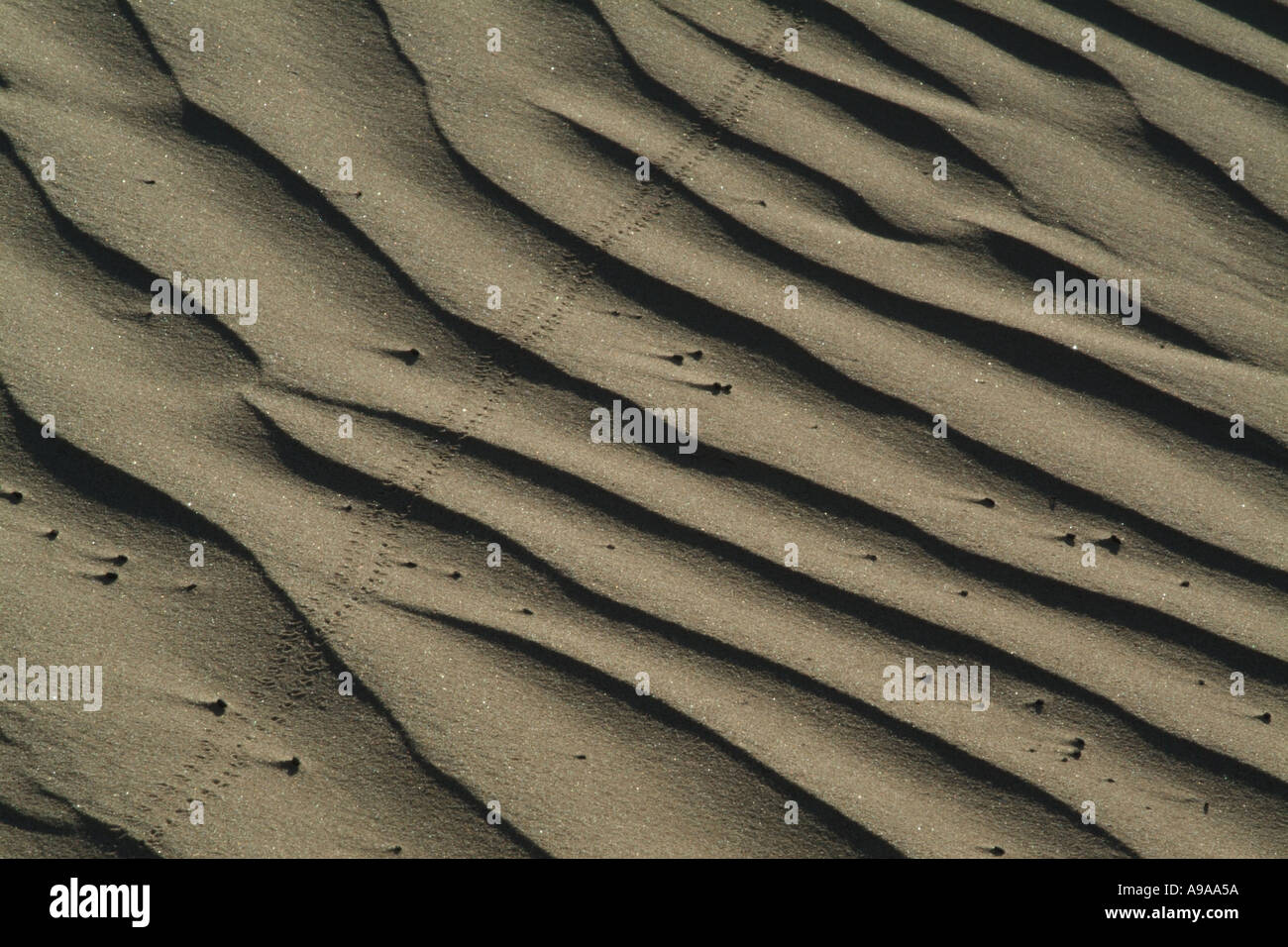 Sandtracks hi-res stock photography and images - Alamy