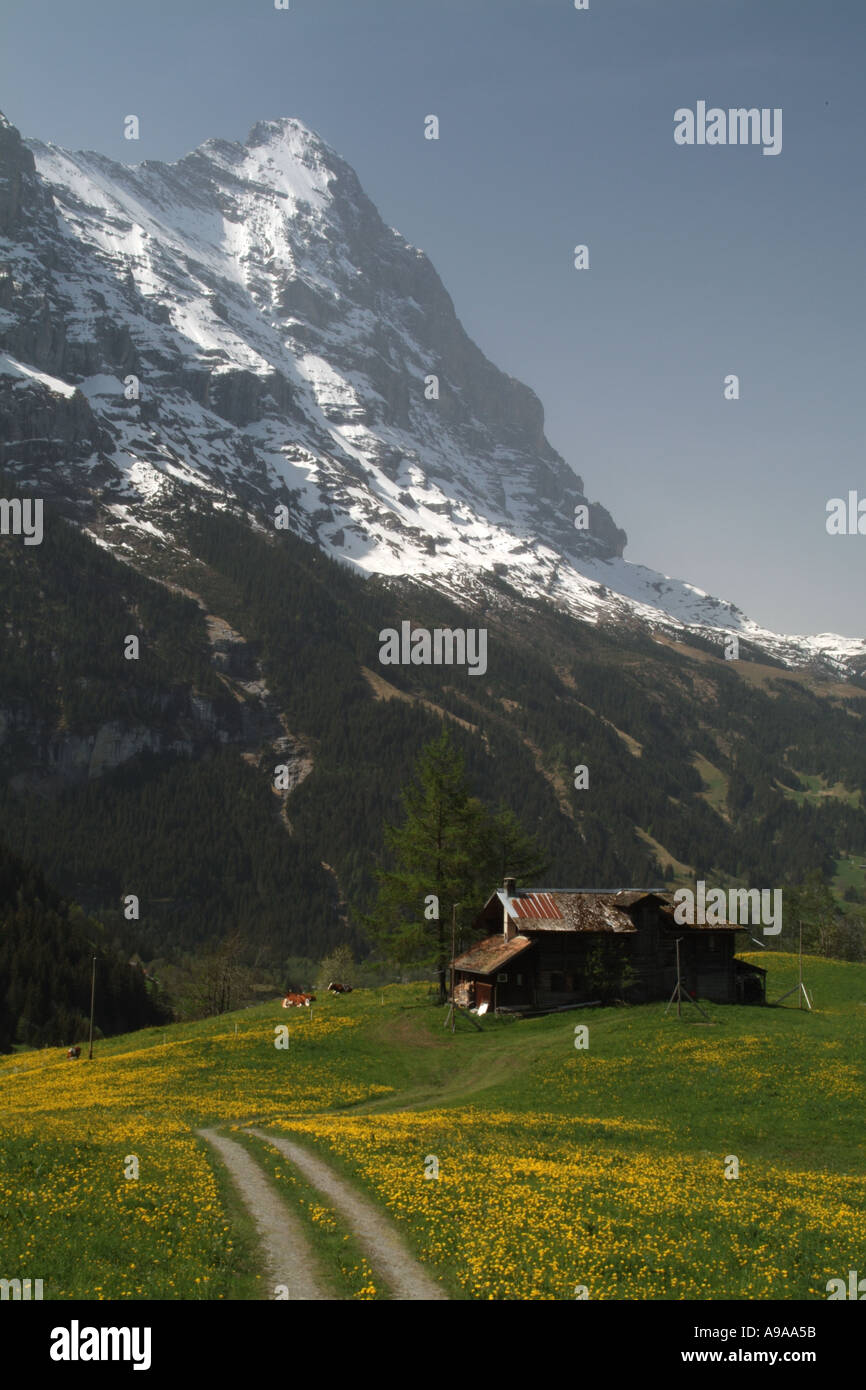 Barn in Switzerland Stock Photo - Alamy