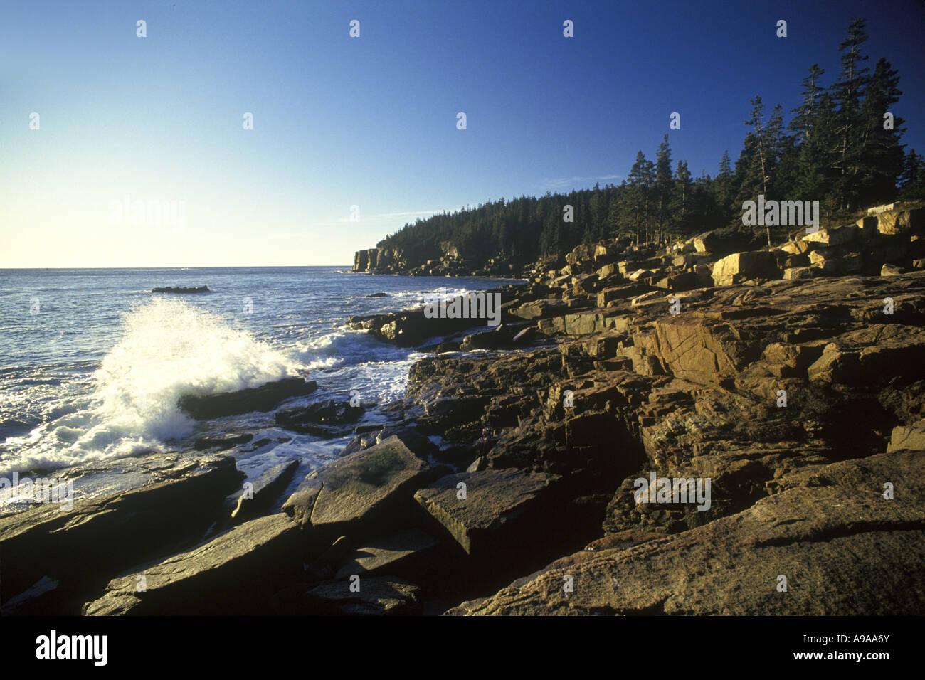 OTTER CLIFFS MOUNT DESERT ISLAND ARCADIA NATIONAL PARK MAINE USA Stock ...