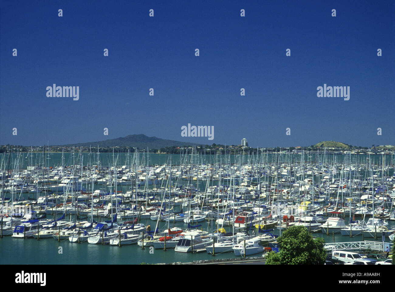 WESTHAVEN MARINA AUCKLAND NORTH ISLAND NEW ZEALAND Stock Photo - Alamy