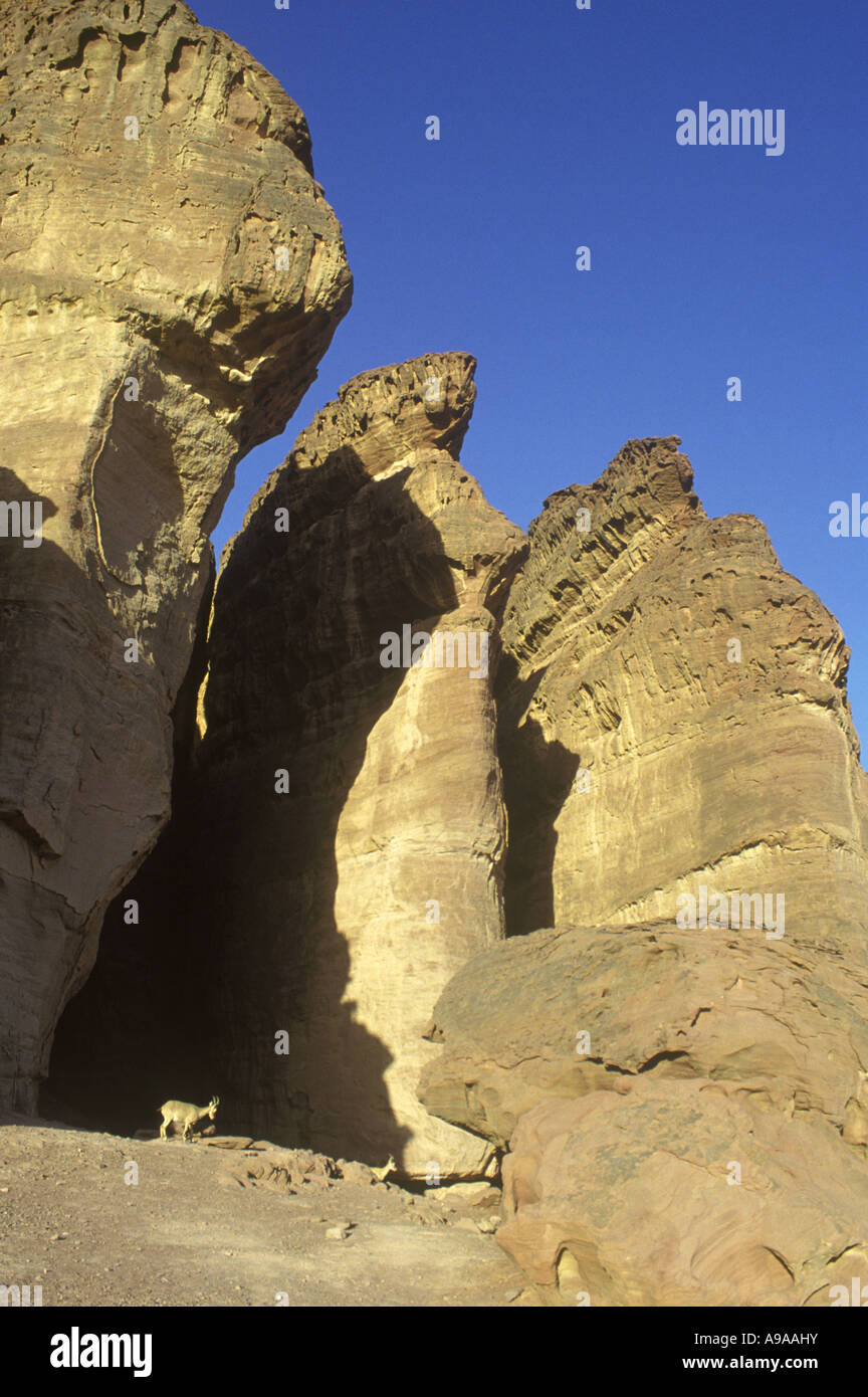 SOLOMON PILLARS TIMNA PARK NEGEV DESERT ISRAEL Stock Photo - Alamy
