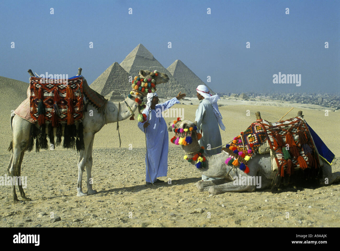 ARABS AND CAMELS GREAT PYRAMIDS GIZA EGYPT Stock Photo - Alamy