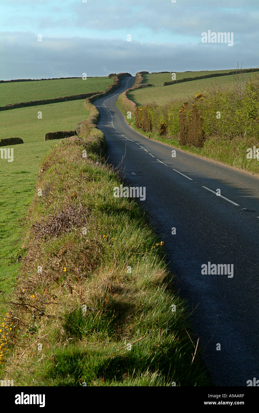 Road in the countryside Stock Photo - Alamy
