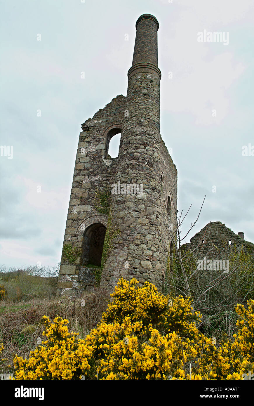 Remains of Wheal Basset tin mine in Redruth - Cornwall UK Stock Photo ...