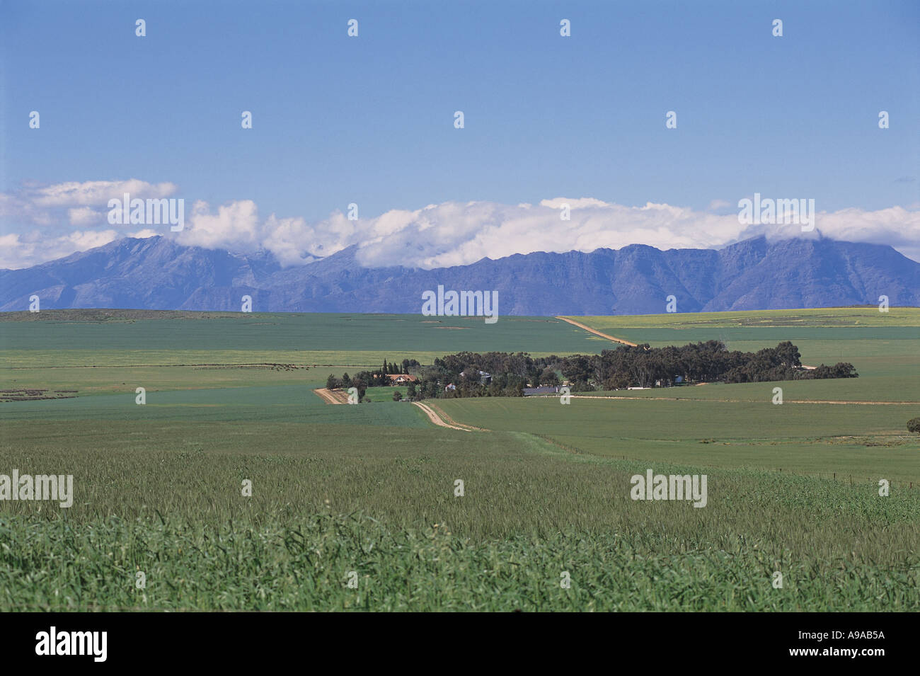 Visit swartland hi-res stock photography and images - Alamy