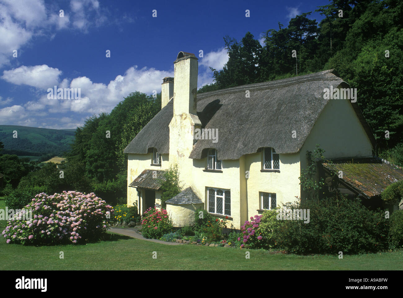 COTTAGE SELWORTHY GREEN VILLAGE EXMOOR SOMERSET ENGLAND UK Stock Photo ...