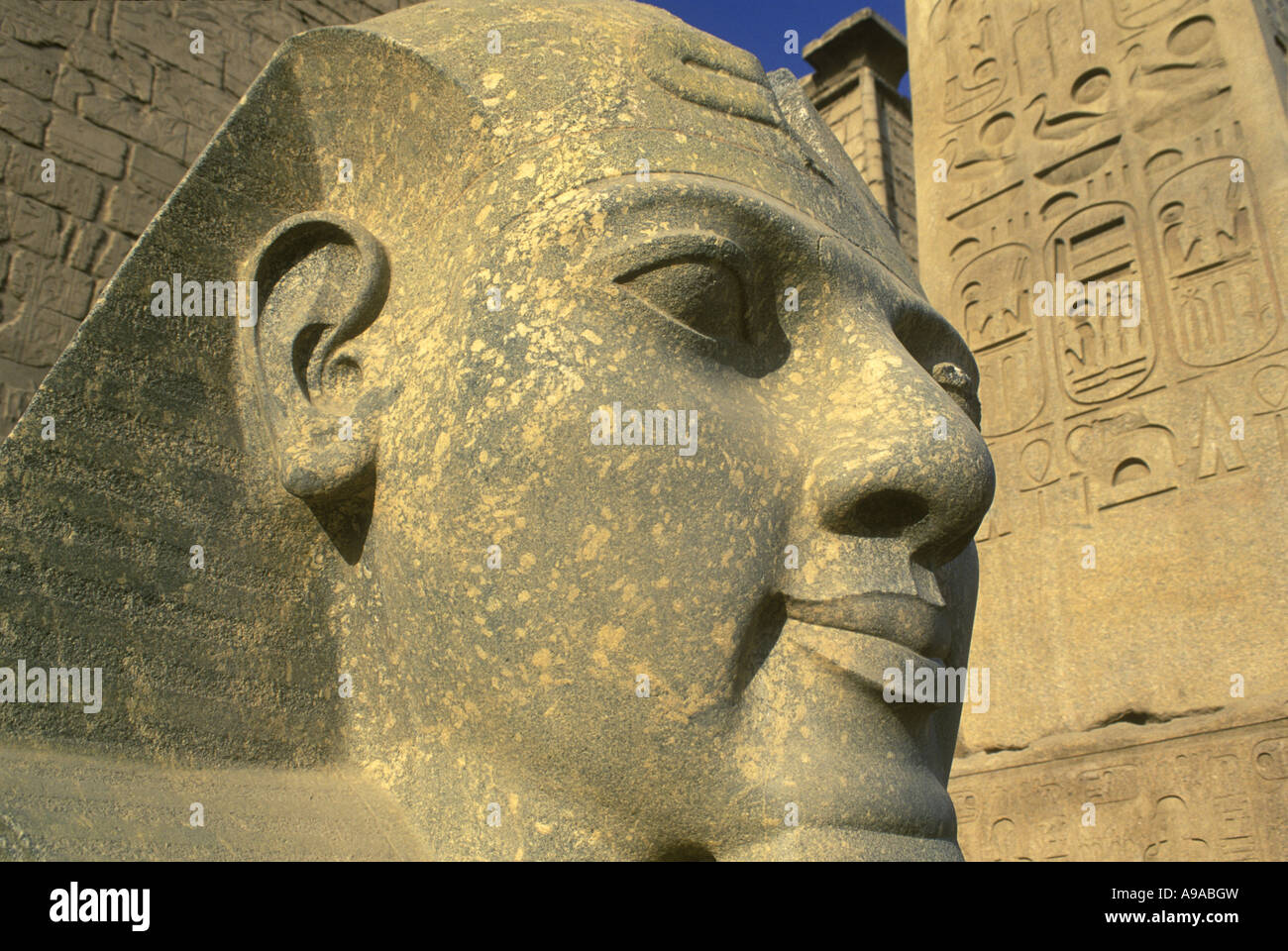 FACE OF RAMSES II ENTRANCE LUXOR TEMPLE LUXOR EGYPT Stock Photo - Alamy