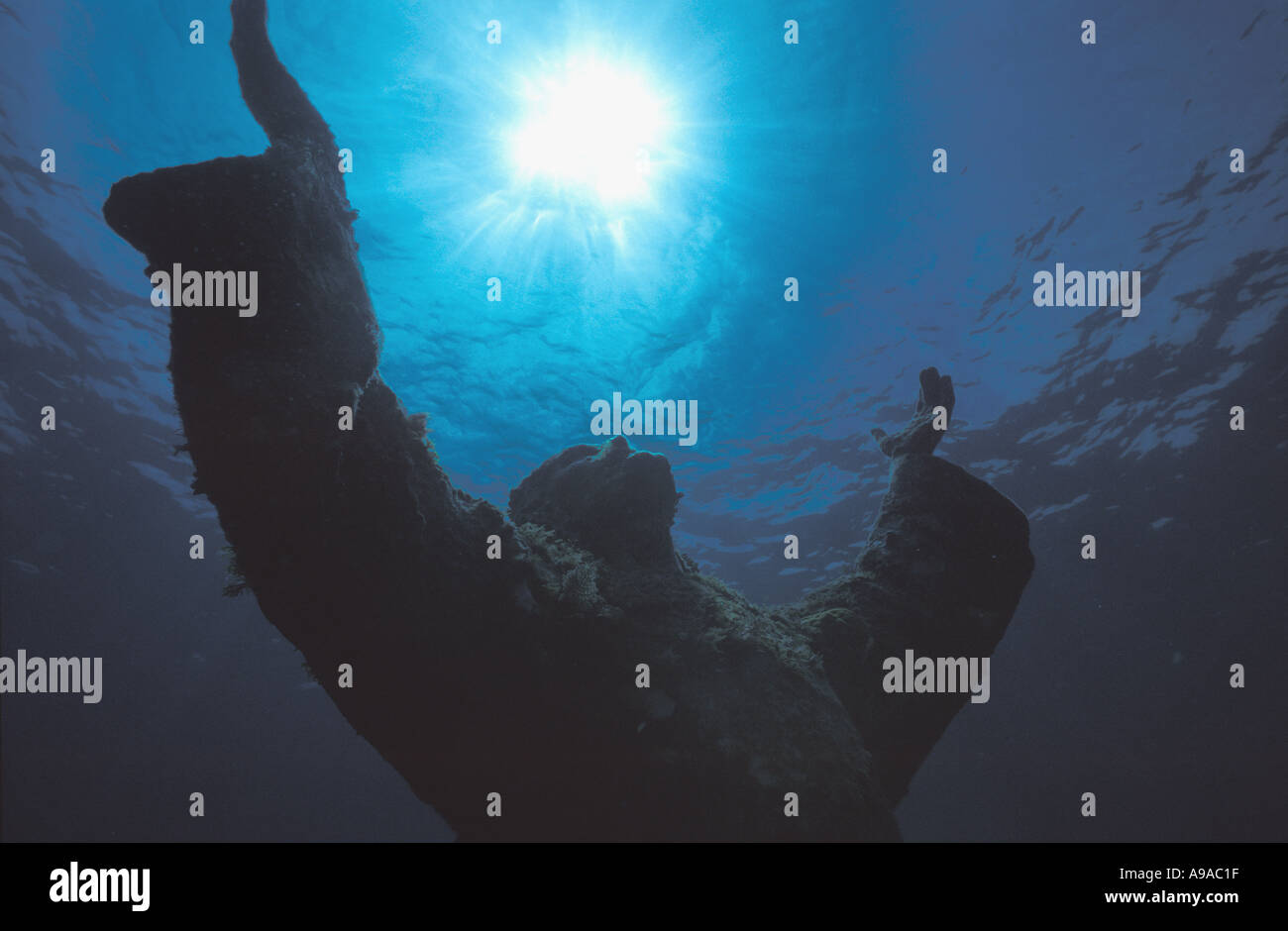 John pennekamp statue hi-res stock photography and images - Alamy