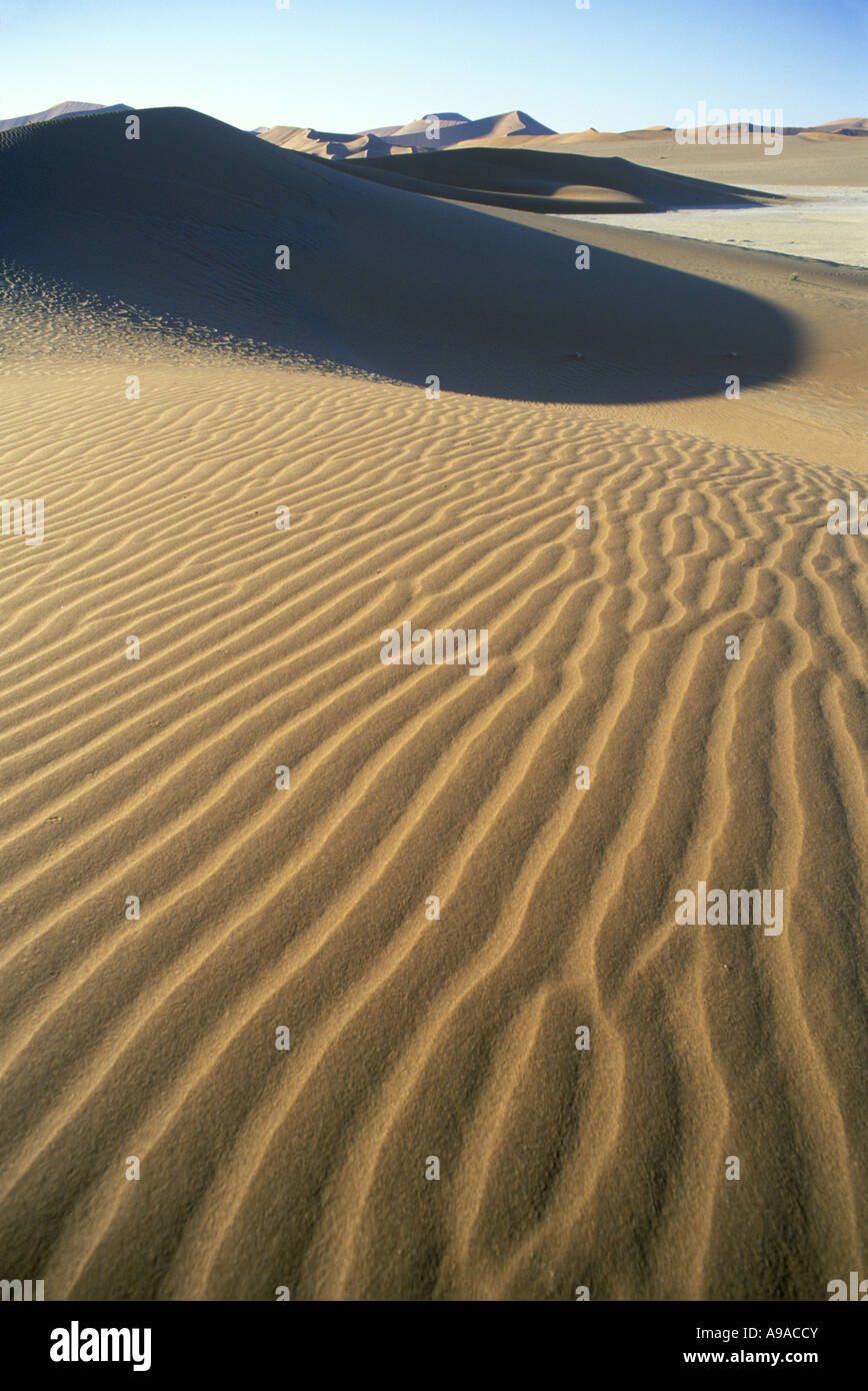 RIPPLES IN GIANT DESERT SAND DUNE SOSSUSVLEI NAMIB NAUKLUFT DESERT PARK ...