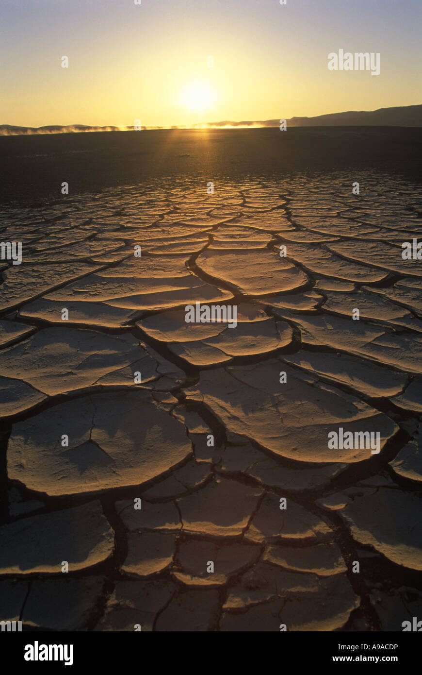 CRACKED DRY DESERT PAVEMENT SOSSUSVLEI NAMIB NAUKLUFT NATIONAL PARK ...