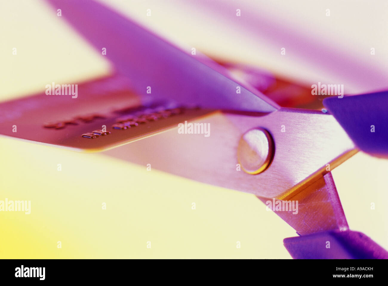 Credit card cut in half hi-res stock photography and images - Alamy