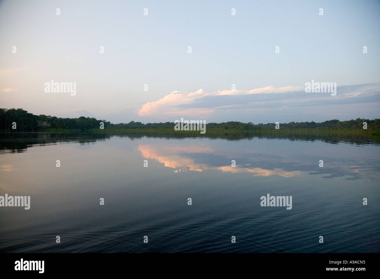 Anangu ecuador yasuni hi-res stock photography and images - Alamy