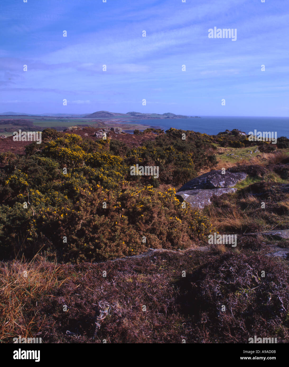 The Island of Bute Stock Photo - Alamy