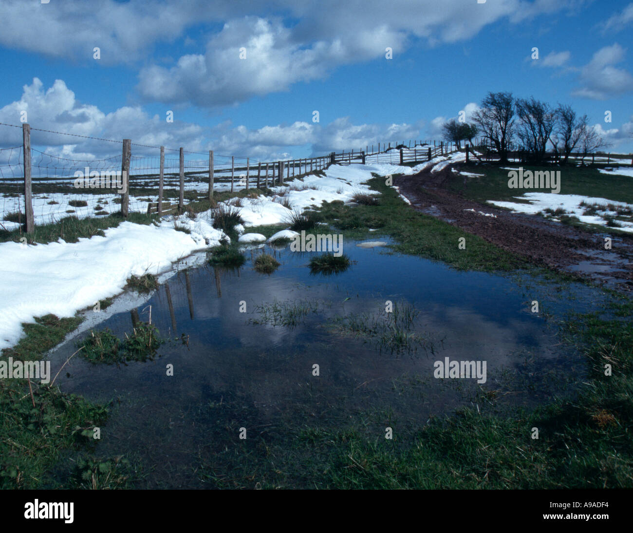 Thawing snow, Long Mynd, Shropshire, UK Stock Photo - Alamy