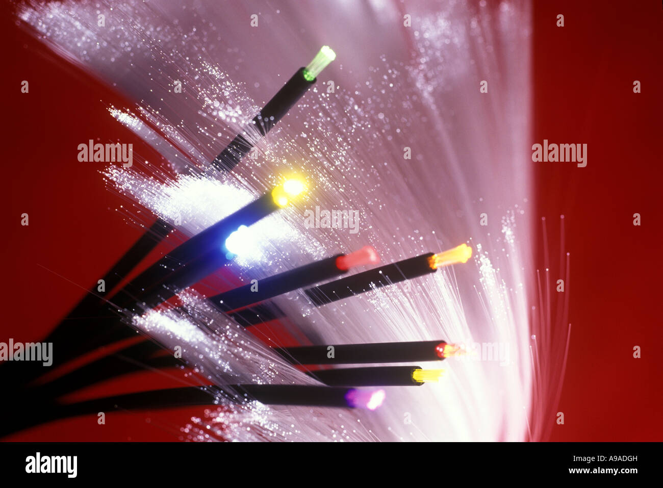 MULTI COLORED LIT TIPS OF FIBER OPTIC STRANDS AND CABLES (©KECK MAURER ...