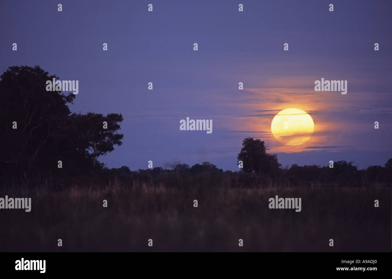 Moon river and savannah hi-res stock photography and images - Alamy
