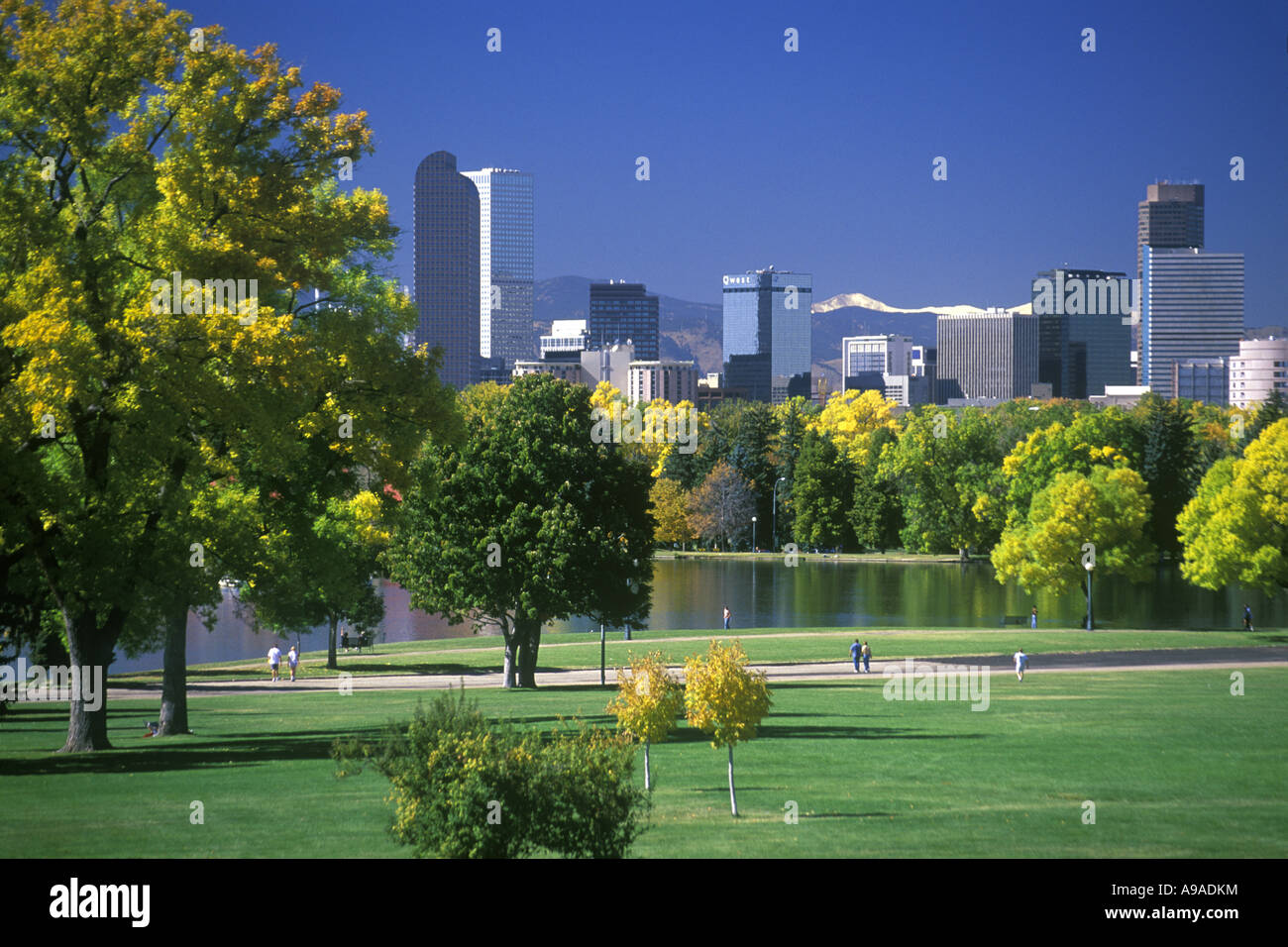CITY PARK DENVER SKYLINE COLORADO USA Stock Photo - Alamy