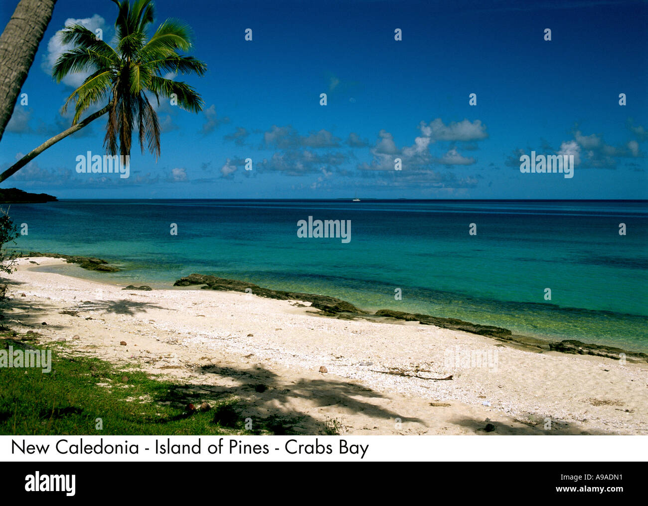 New Caledonia Island of Pines Crabs Bay Stock Photo - Alamy
