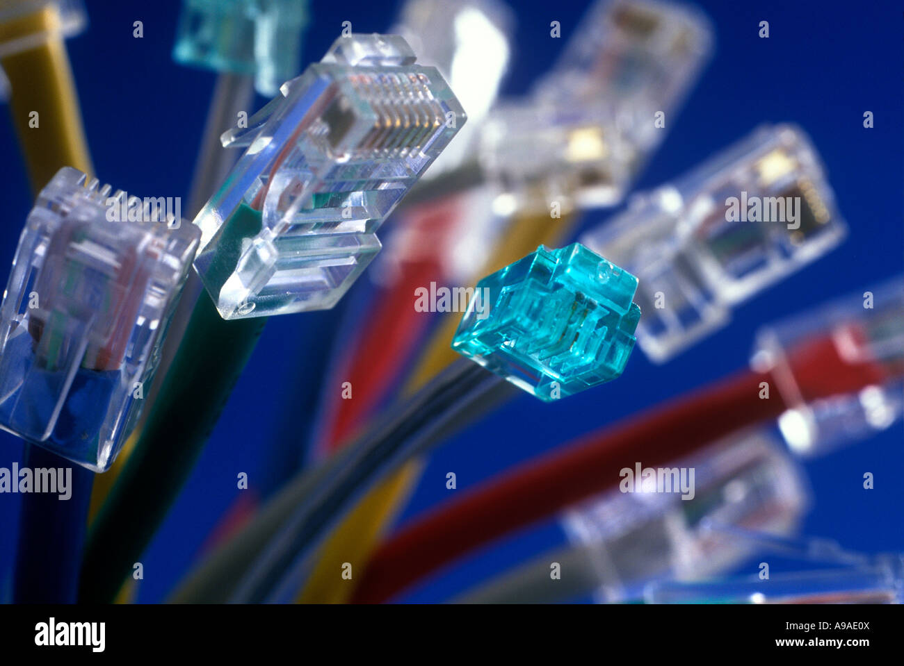 TELECOMMUNICATION COMPUTER CABLES ON PLAIN BLUE BACKGROUND Stock Photo ...