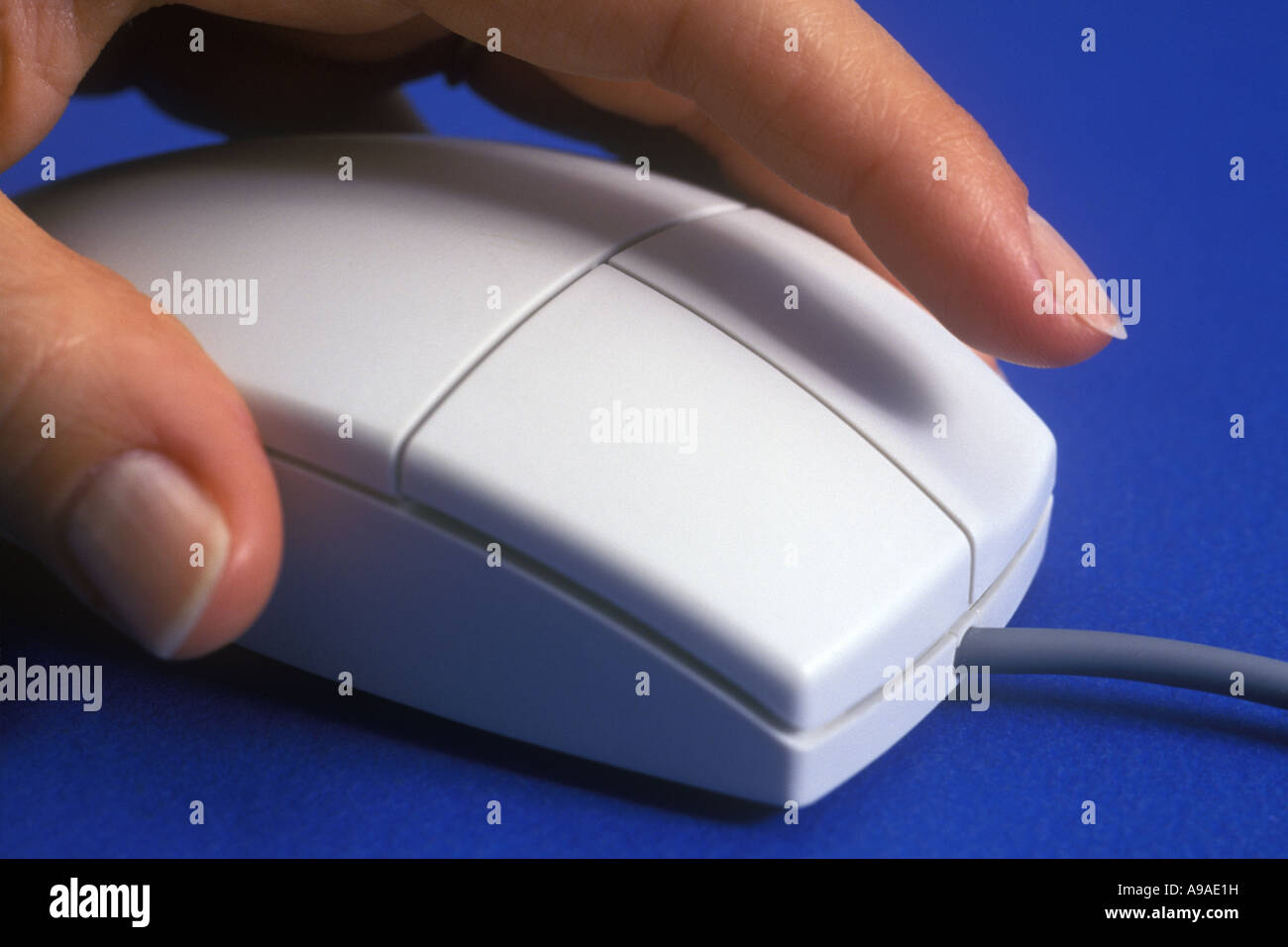 WHITE WOMANS HAND HOLDING COMPUTER MOUSE ON BLUE MOUSE PAD Stock Photo ...