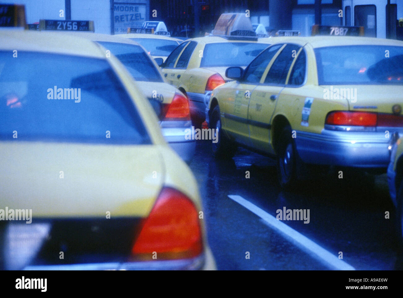 BACKS OF YELLOW TAXI CABS (©FORD MOTOR COMPANY 1998) MANHATTAN NEW YORK ...