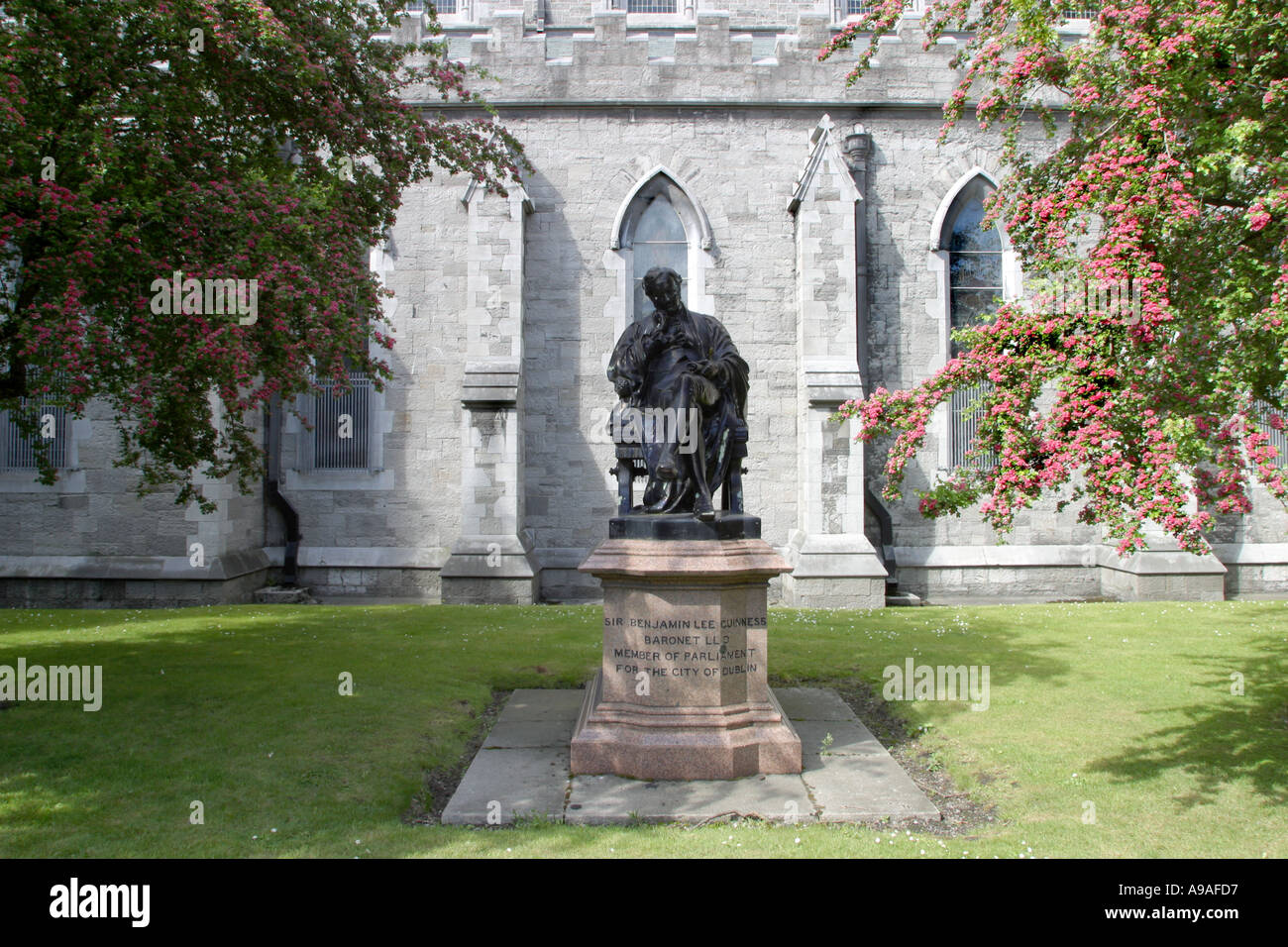 Guinness Statue St Patricks Cathedral Dublin ireland Stock Photo - Alamy