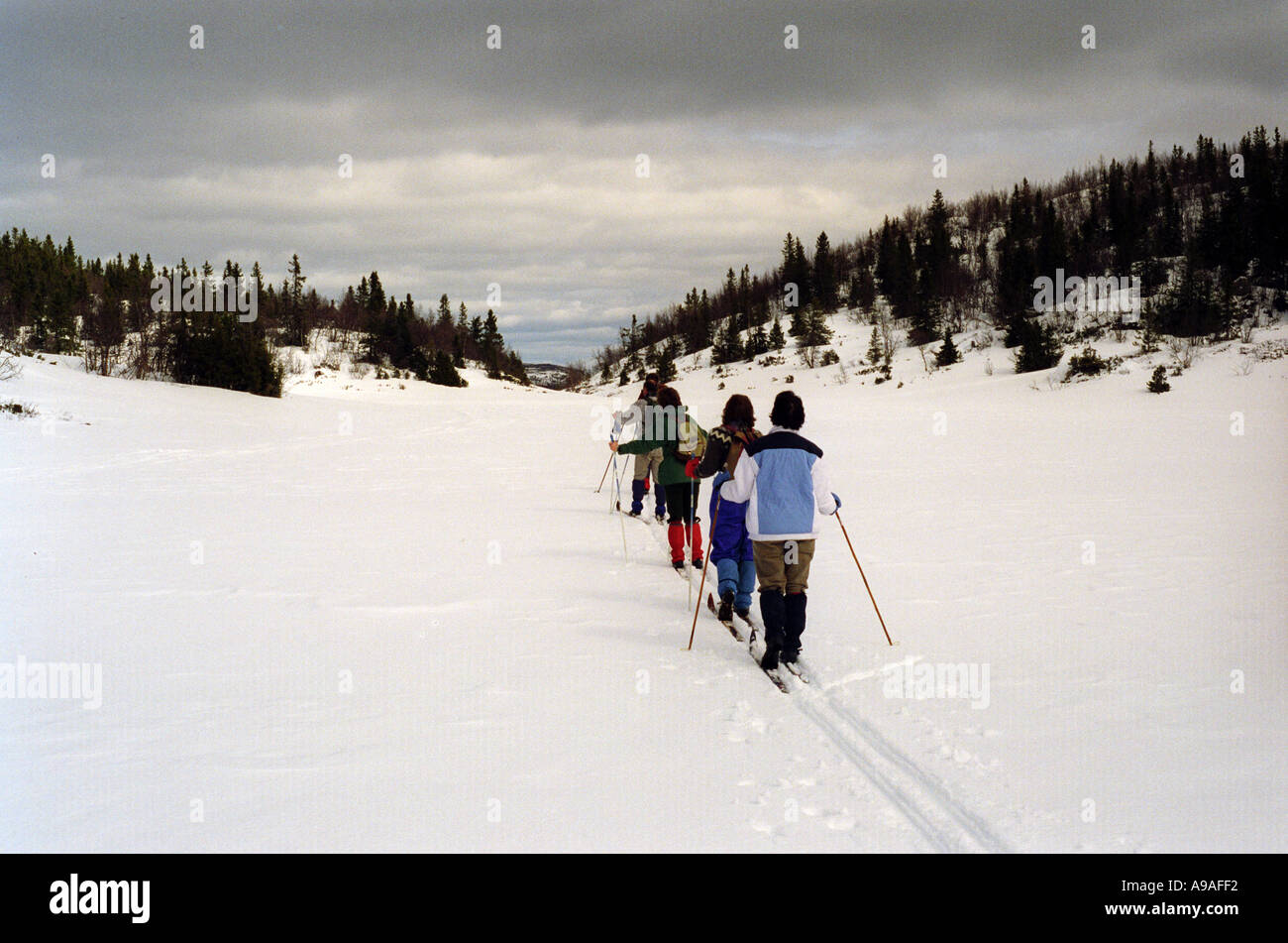 Norway cross country ski team hi-res stock photography and images - Alamy