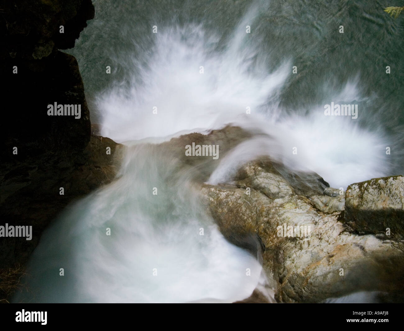 Lynn valley canyon park hi-res stock photography and images - Alamy