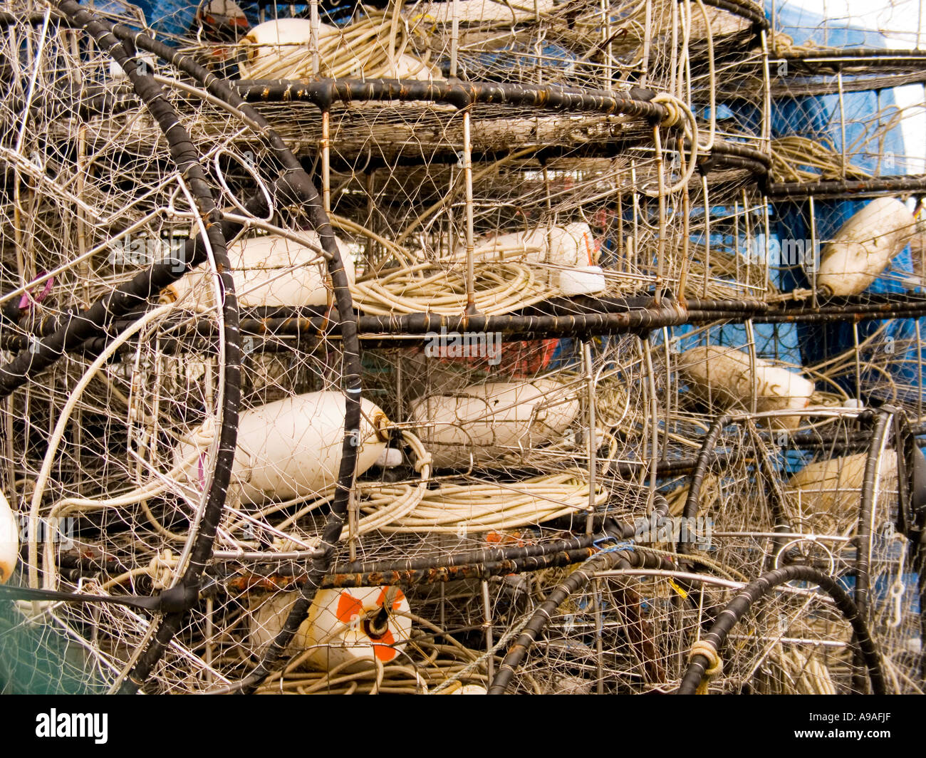 Hoop Net Trap High Resolution Stock Photography and Images - Alamy