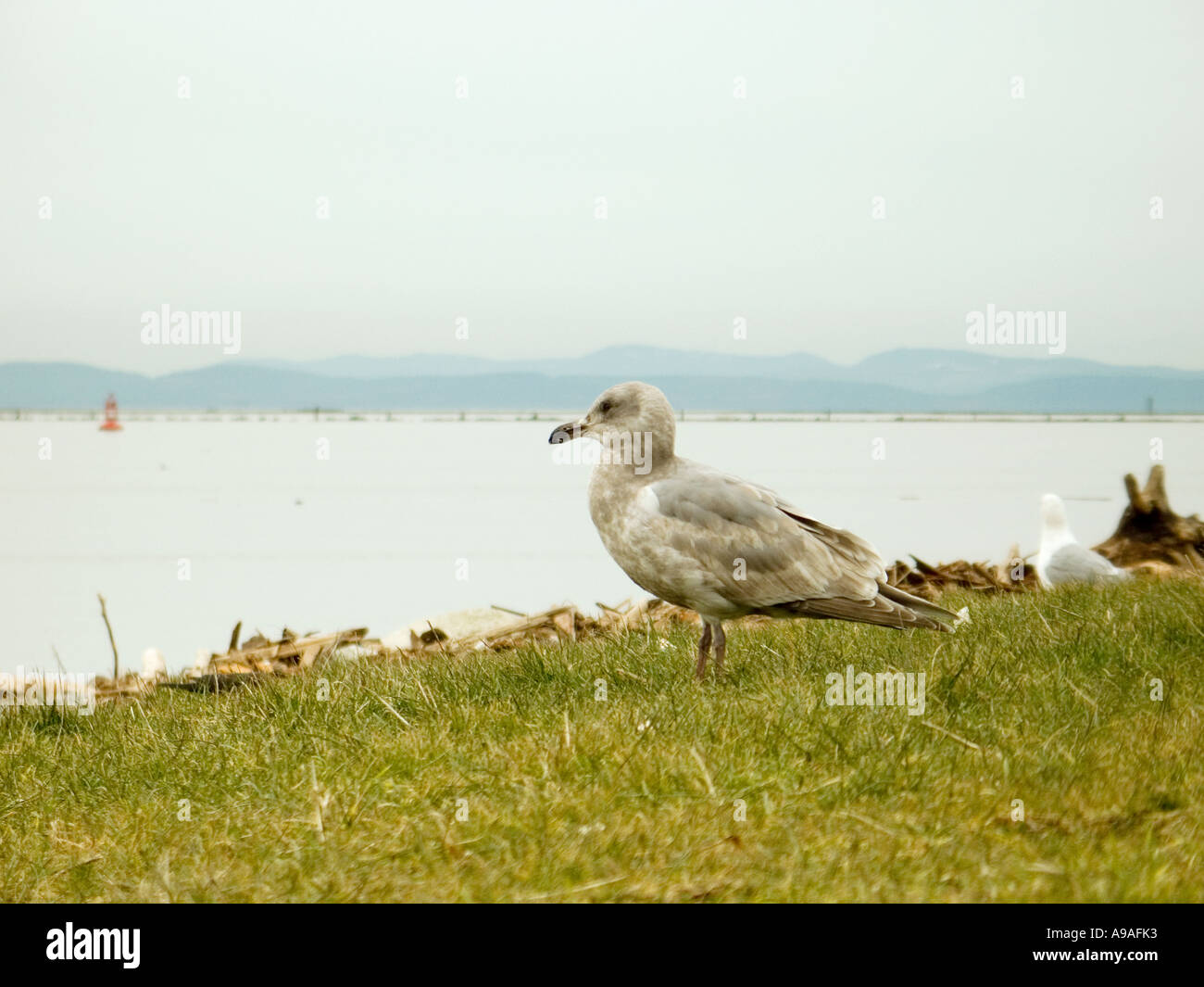 Deep water point reserve hi-res stock photography and images - Alamy