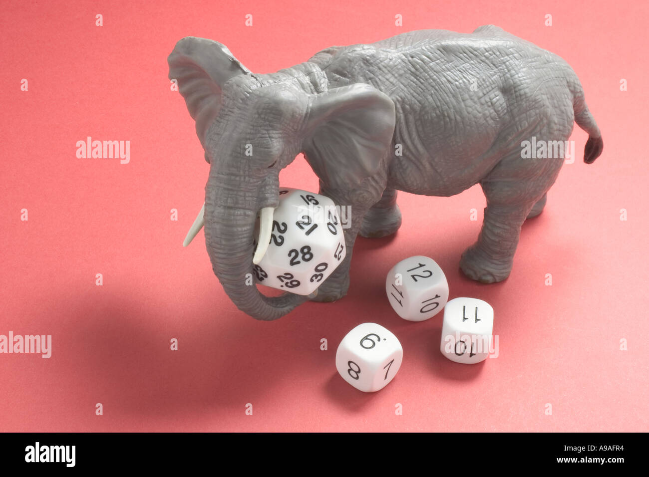 Toy Elephant with Dice Stock Photo - Alamy