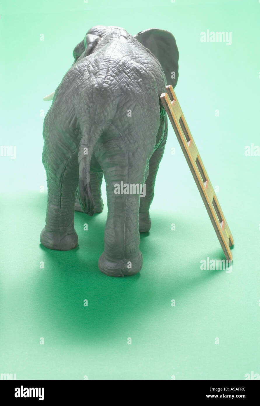 Elephant Figurine and Miniature Ladder Stock Photo - Alamy
