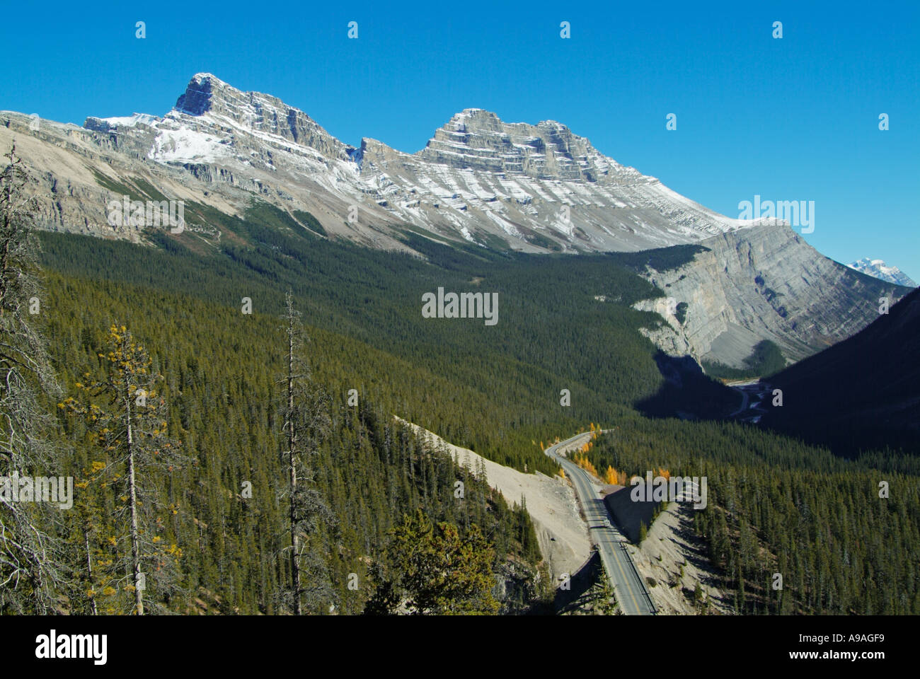 Icefields Parkway at Big Bend Banff national park border Alberta Canada ...