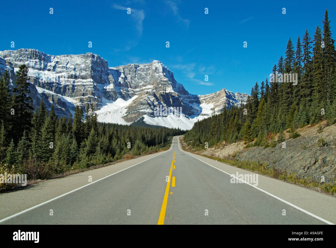 Wide empty Icefields parkway drive Banff National park Alberta Canada ...