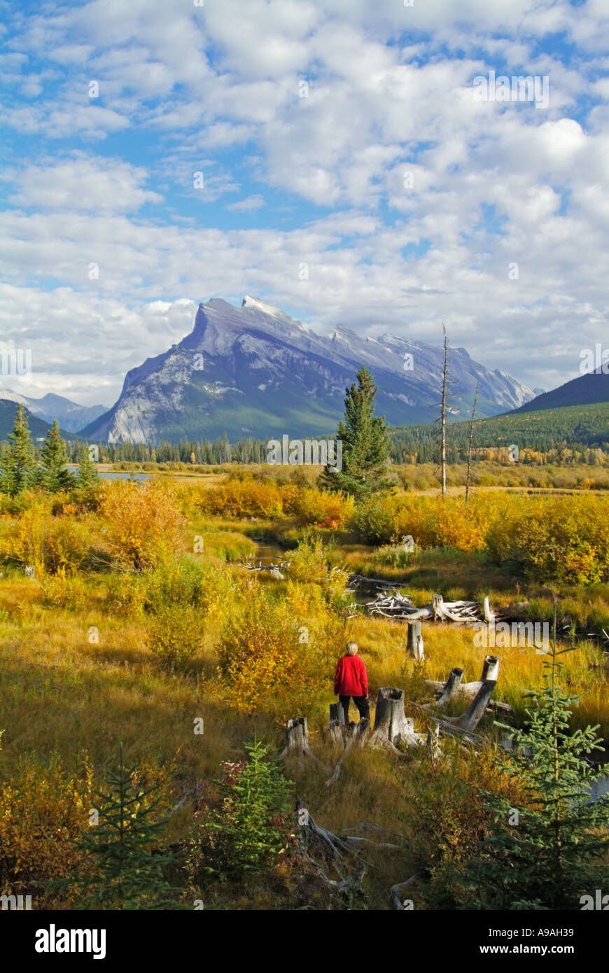 Mount Rundle rising above Banff township from Vermillion lakes drive ...