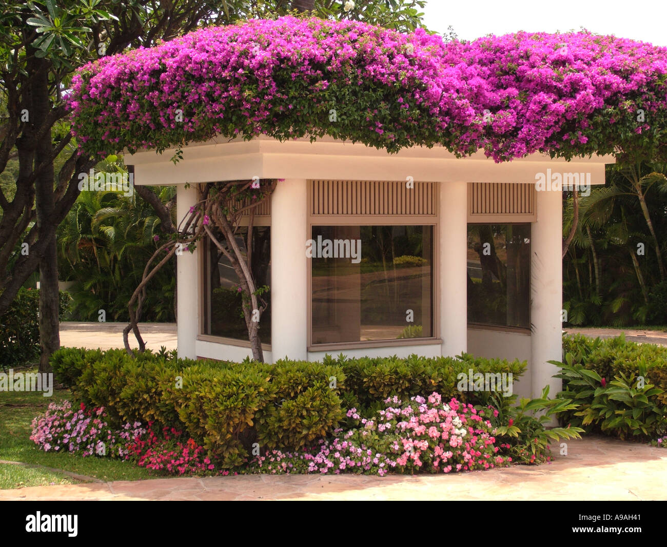 Hawaiian renaissance hi-res stock photography and images - Alamy