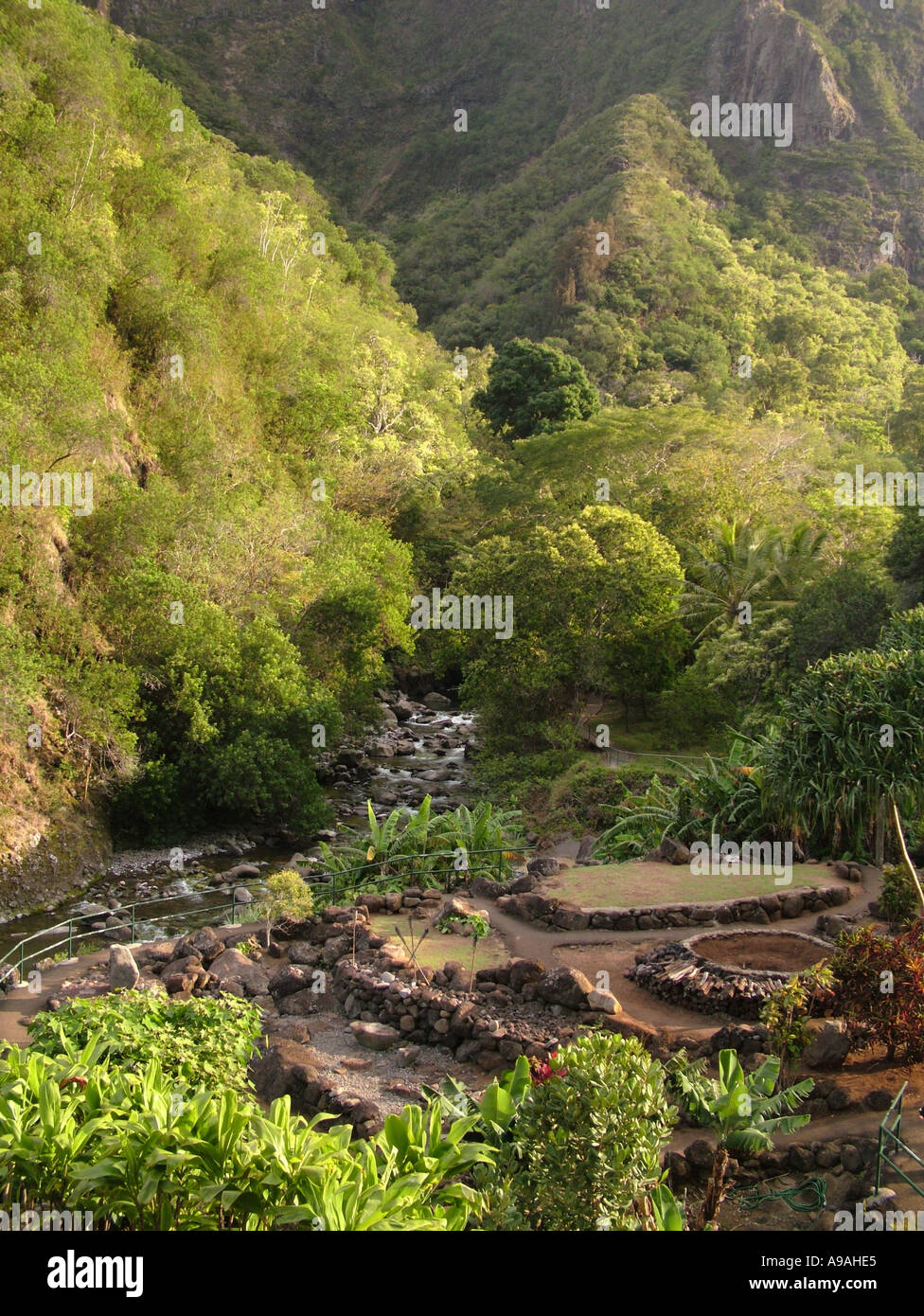 Wailuku maui hi-res stock photography and images - Alamy