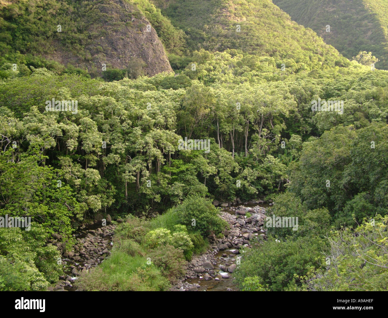 Hawaiian rivers hi-res stock photography and images - Alamy