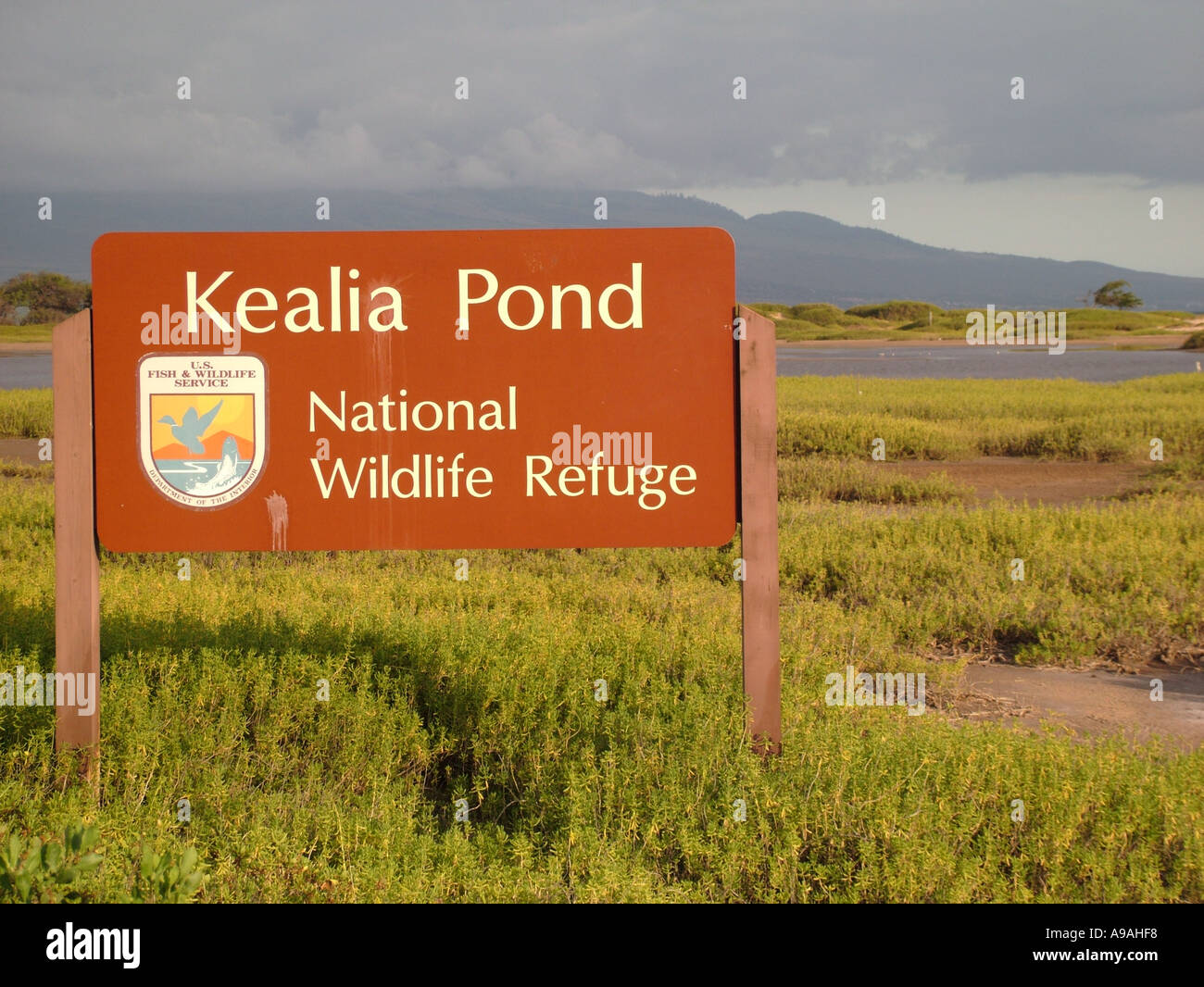 Maui habitat hi-res stock photography and images - Alamy