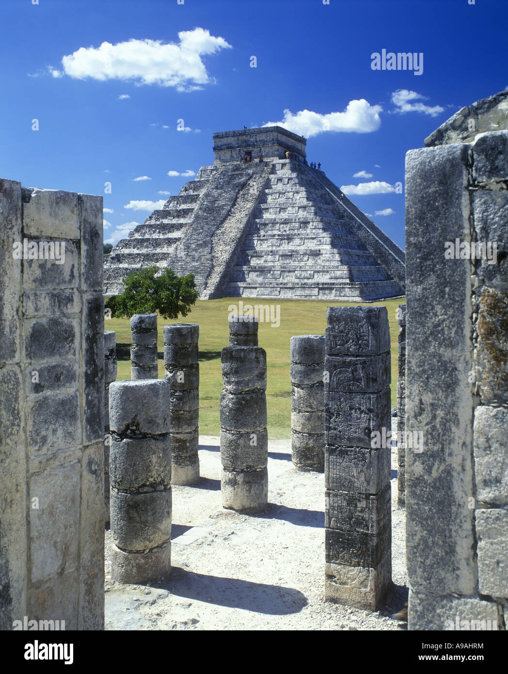 EL CASTILLO KUKULKAN PYRAMID CHICHEN ITZA MAYAN RUINS YUCATAN MEXICO ...
