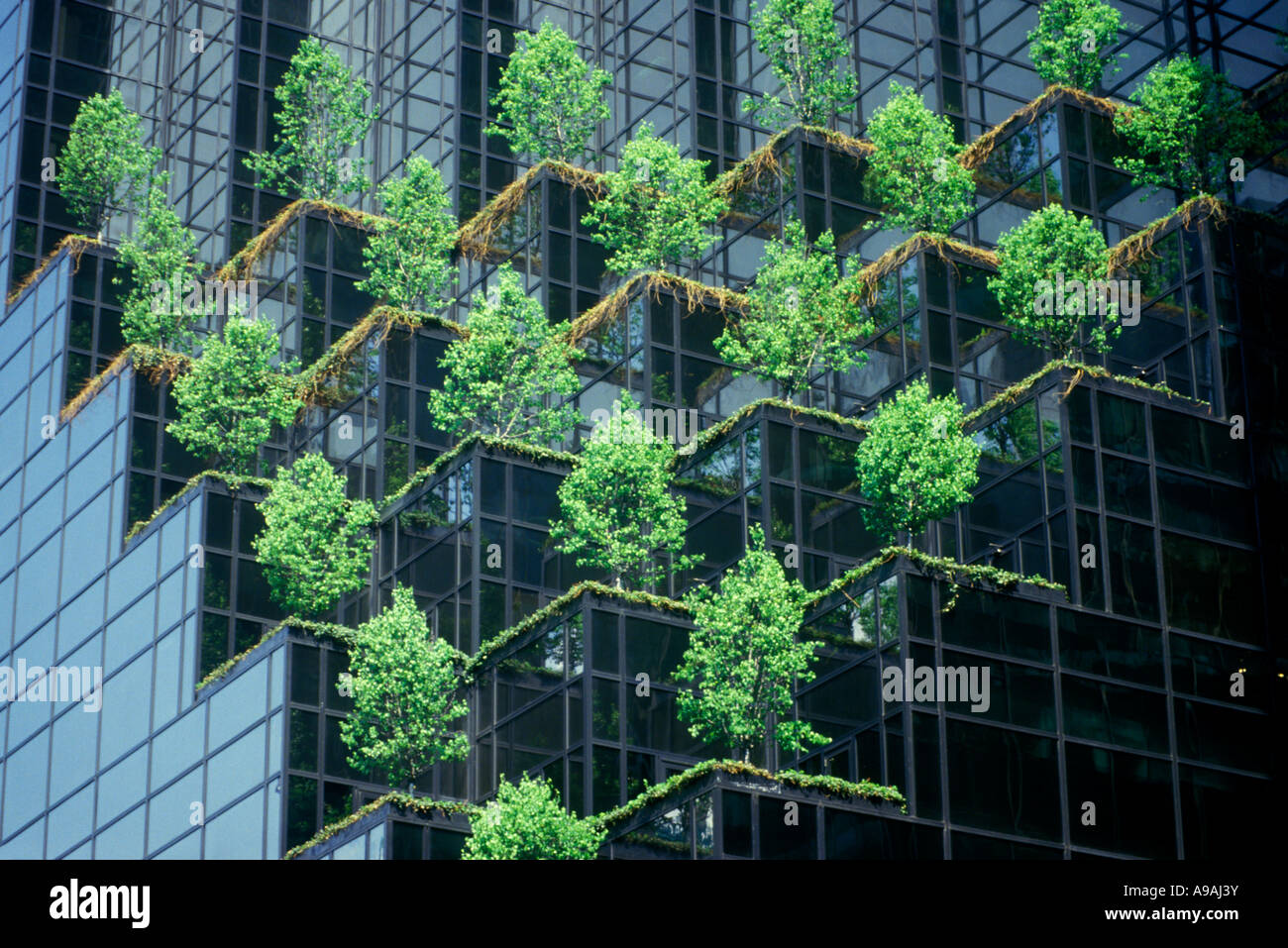 TERRACE GARDEN TRUMP TOWER FIFTH AVENUE MANHATTAN NEW YORK CITY USA ...