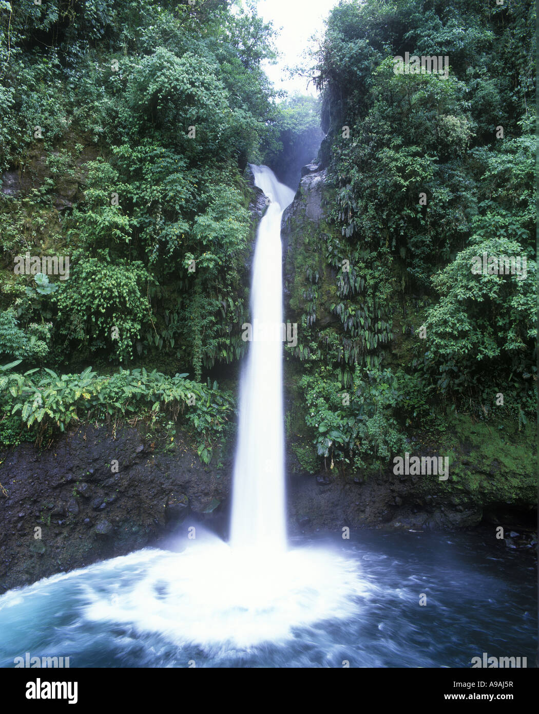 LA PAZ WATERFALL VOLCANO POAS NATIONAL PARK COSTA RICA Stock Photo - Alamy
