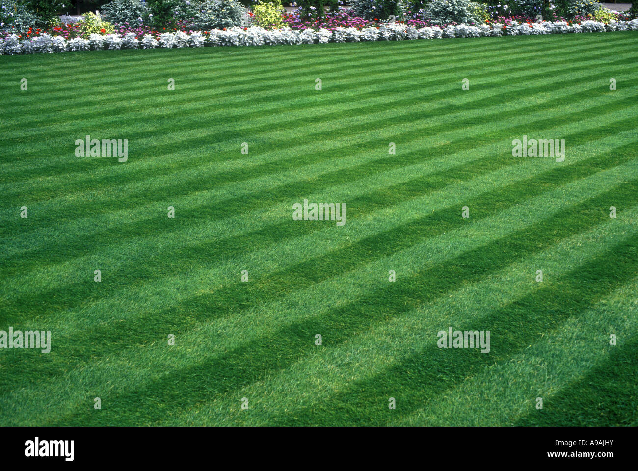 GREEN GRASS STRIPES MANICURED LAWN ENGLAND UK Stock Photo - Alamy