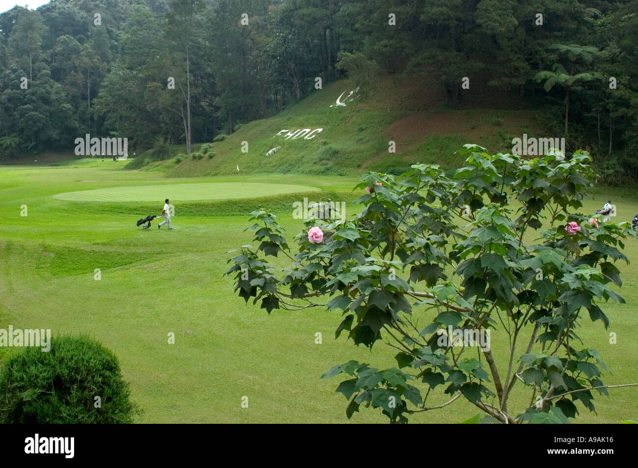 Golf Course Fraser's Hill Stock Photo - Alamy