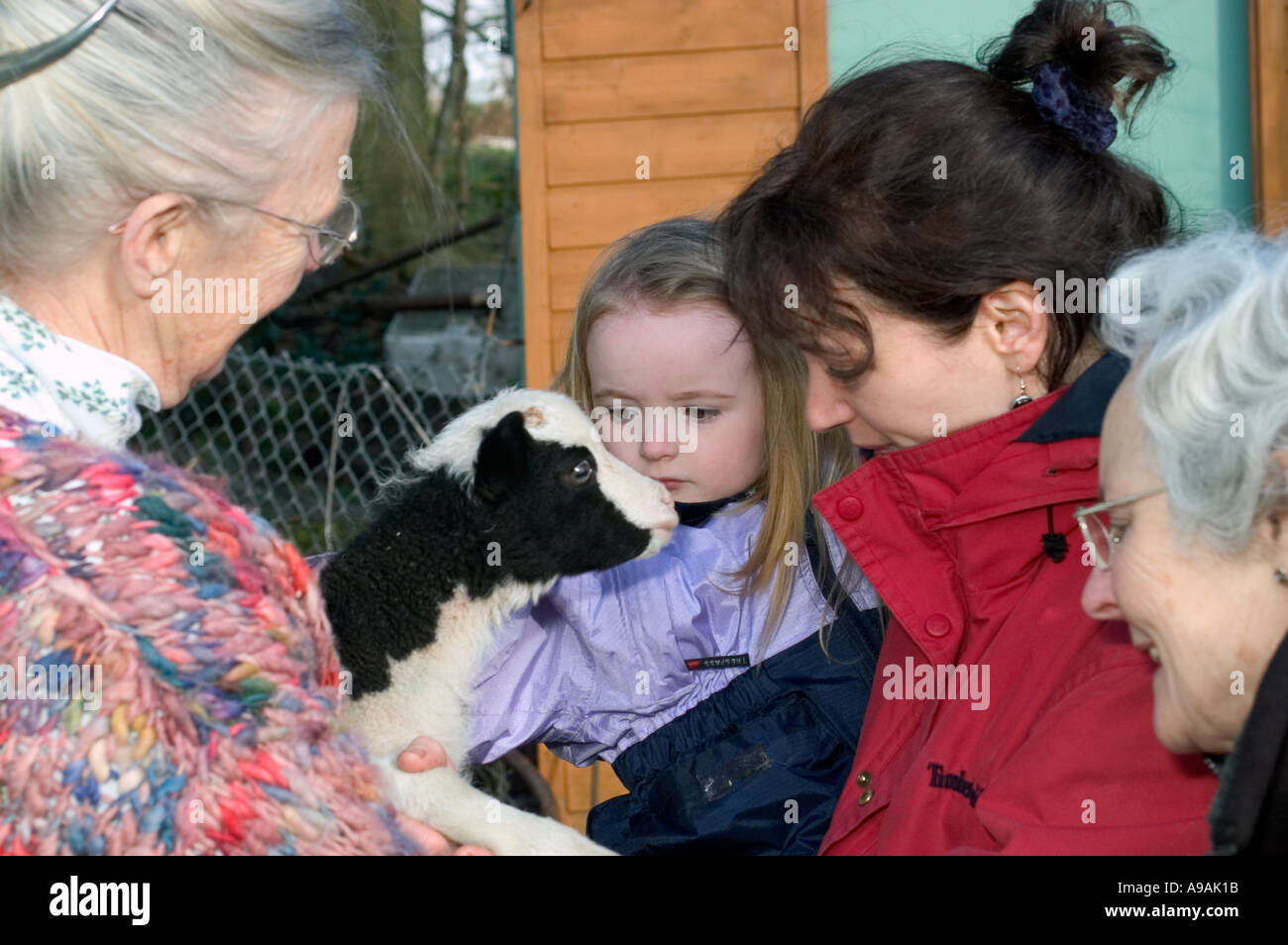 Family and new Lamb Stock Photo - Alamy