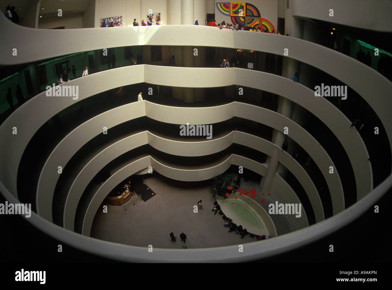 ROTUNDA SOLOMON GUGGENHEIM MUSEUM (©FRANK LLOYD WRIGHT 1959) FIFTH ...