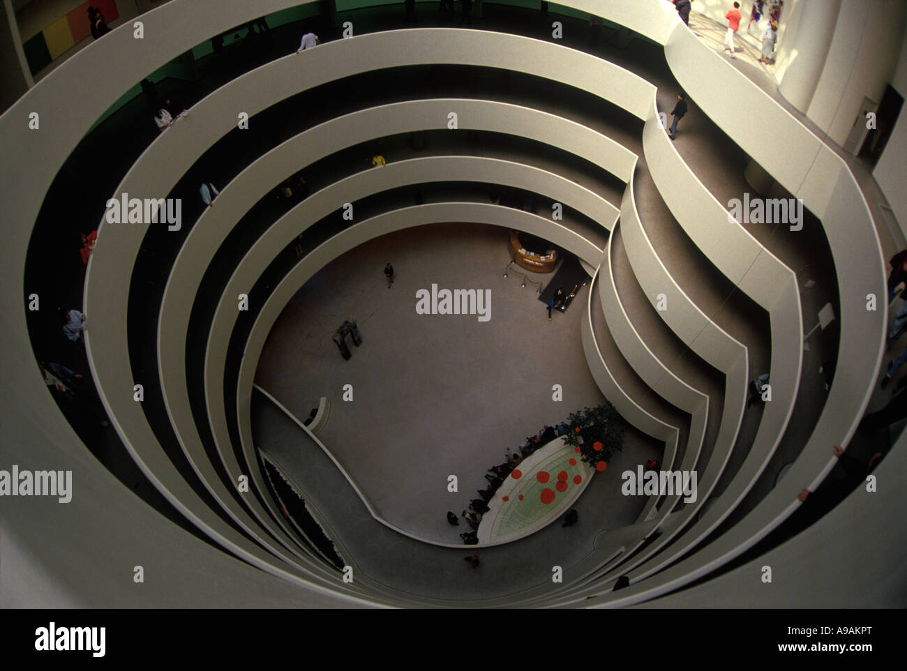 ROTUNDA SOLOMON GUGGENHEIM MUSEUM (©FRANK LLOYD WRIGHT 1959) FIFTH ...