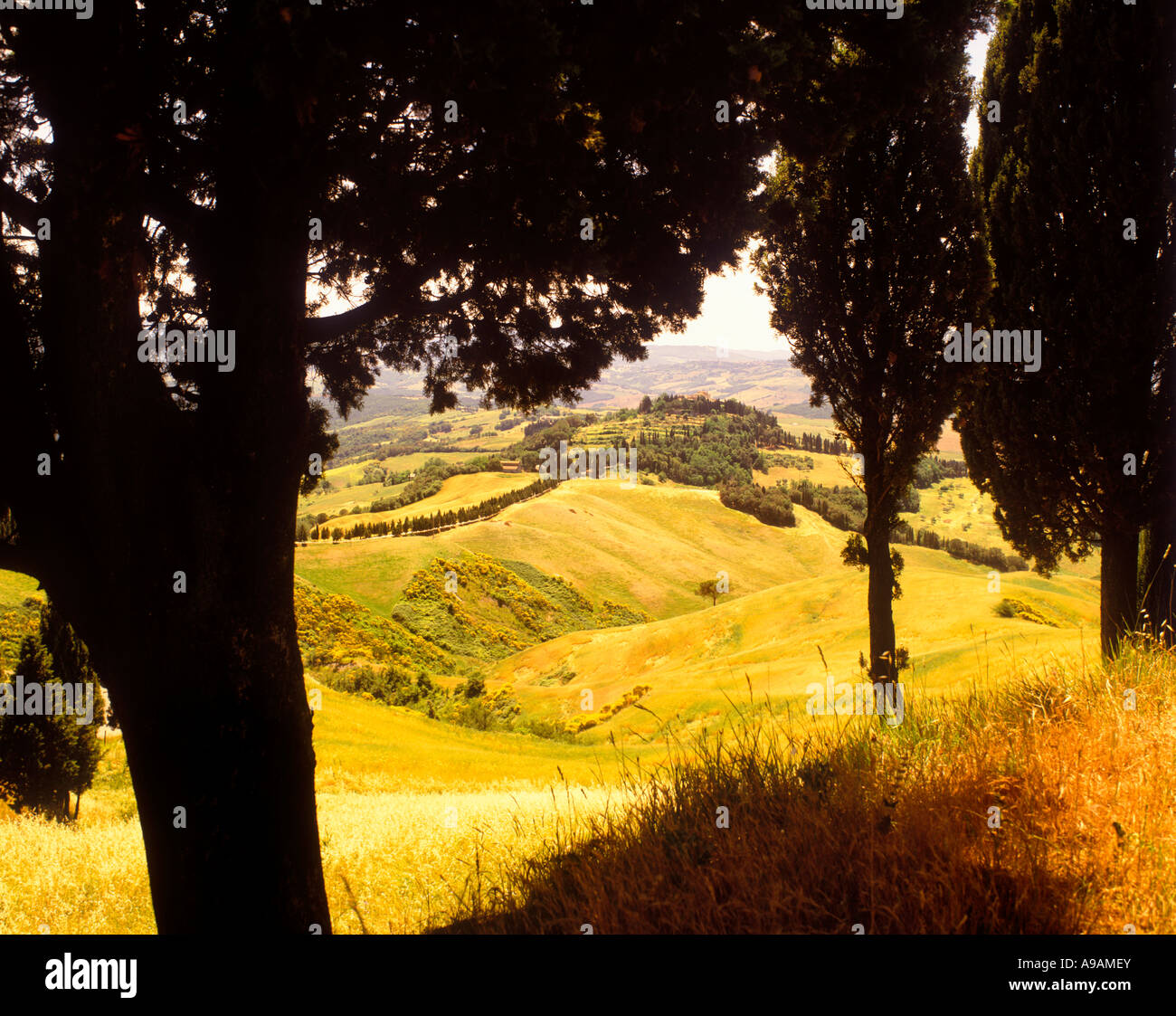 MAZZOLLA HILLTOP VILLAGE VOLTERRA TUSCANY ITALY Stock Photo - Alamy